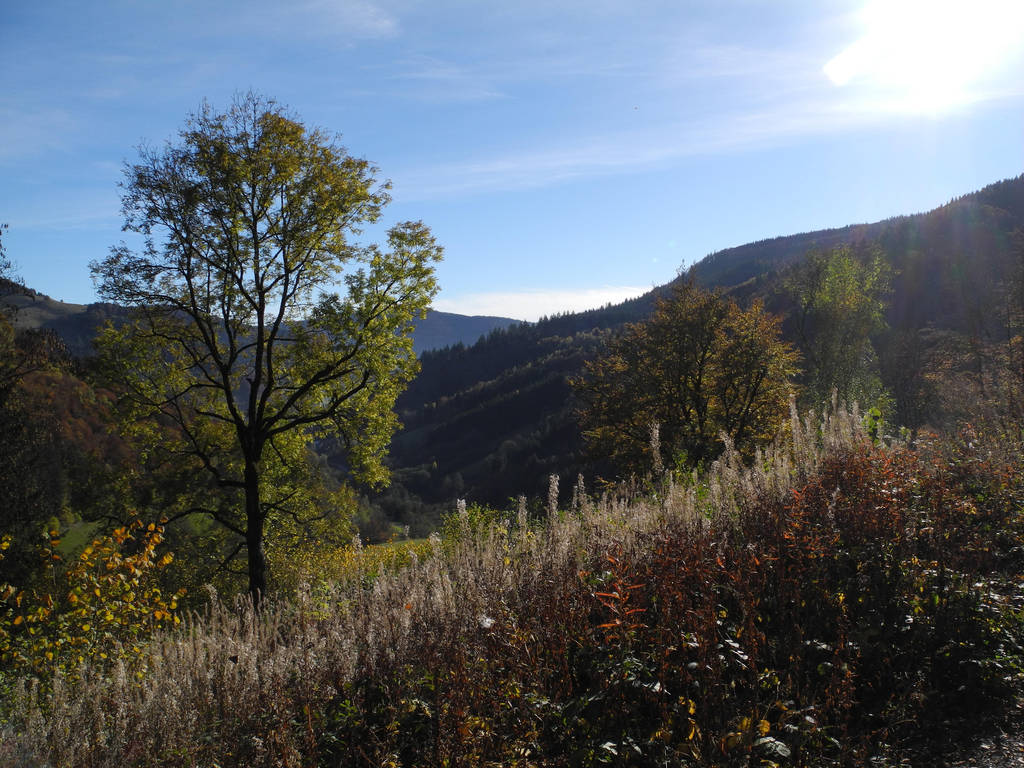 Pictures of the diversity of Europe's nature : AskEurope