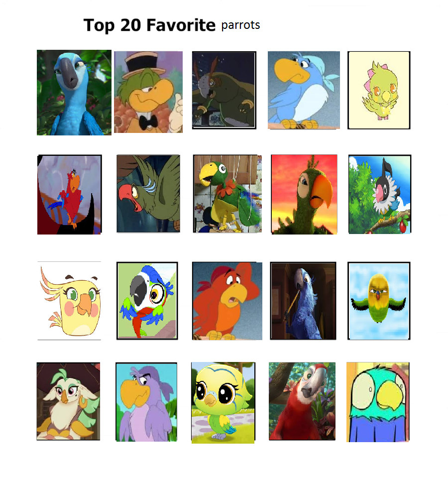 my top 20 favorite parrots by cartoonstar92 on DeviantArt