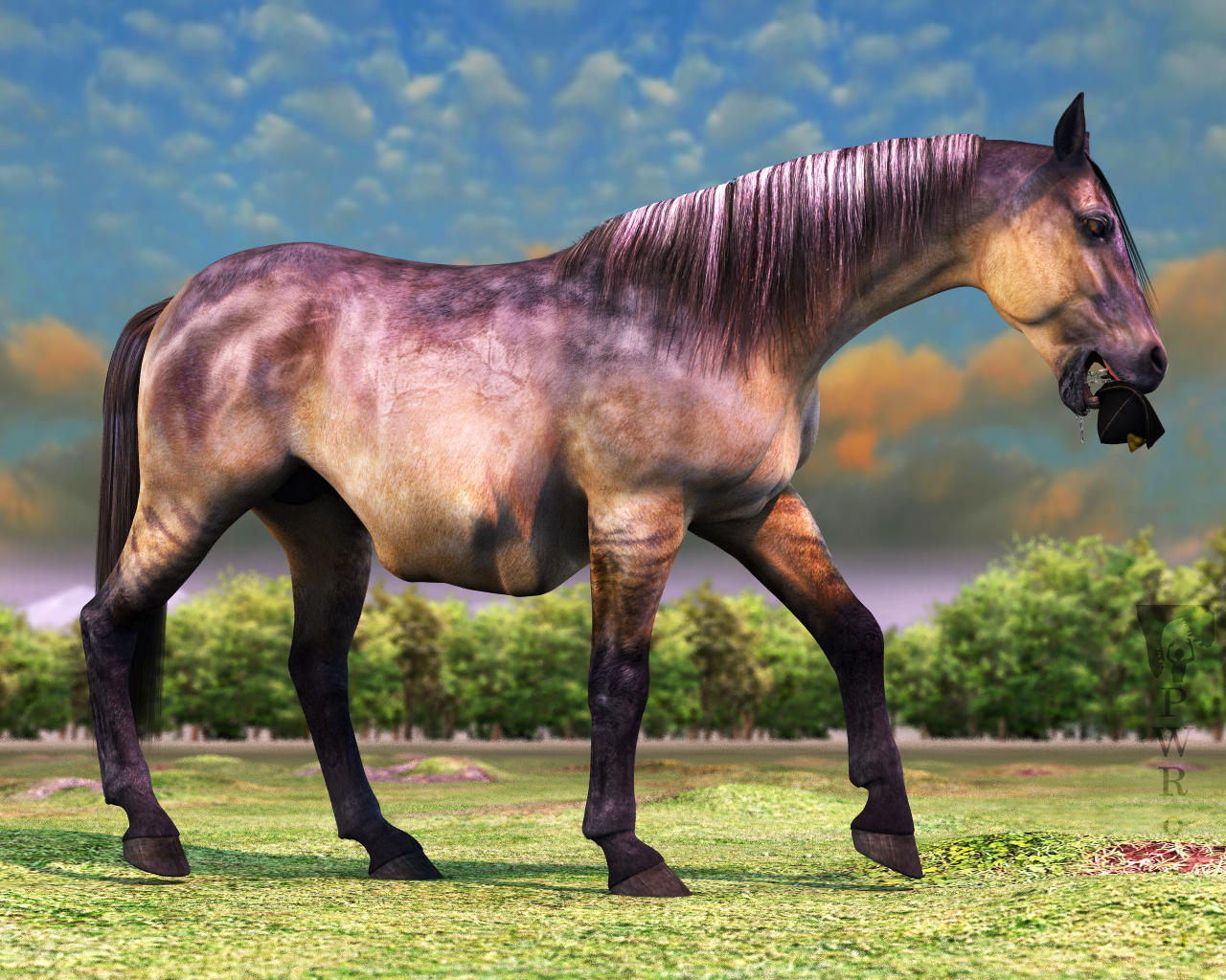 Horses by PWRof3D on DeviantArt