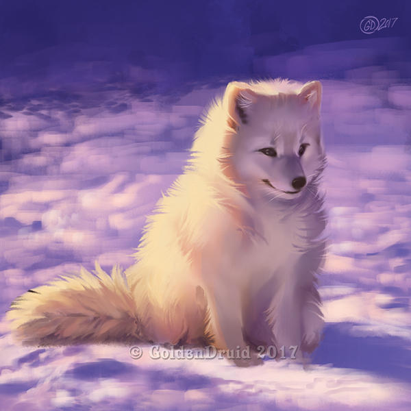 SnowJay - SpeedPaint by GoldenDruid on DeviantArt
