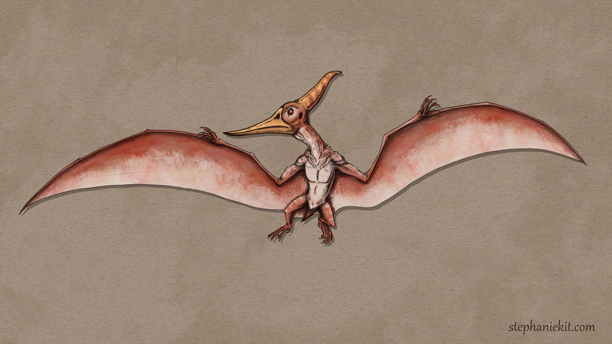 Pteranodon Longiceps by kitxunei on DeviantArt