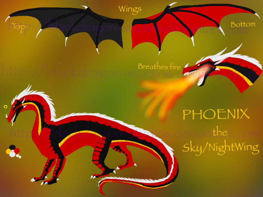 Wings Of Fire Phoenix The Sky Nightwing Ref Sheet By Blackdragon