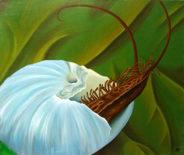 jonito's DeviantArt gallery