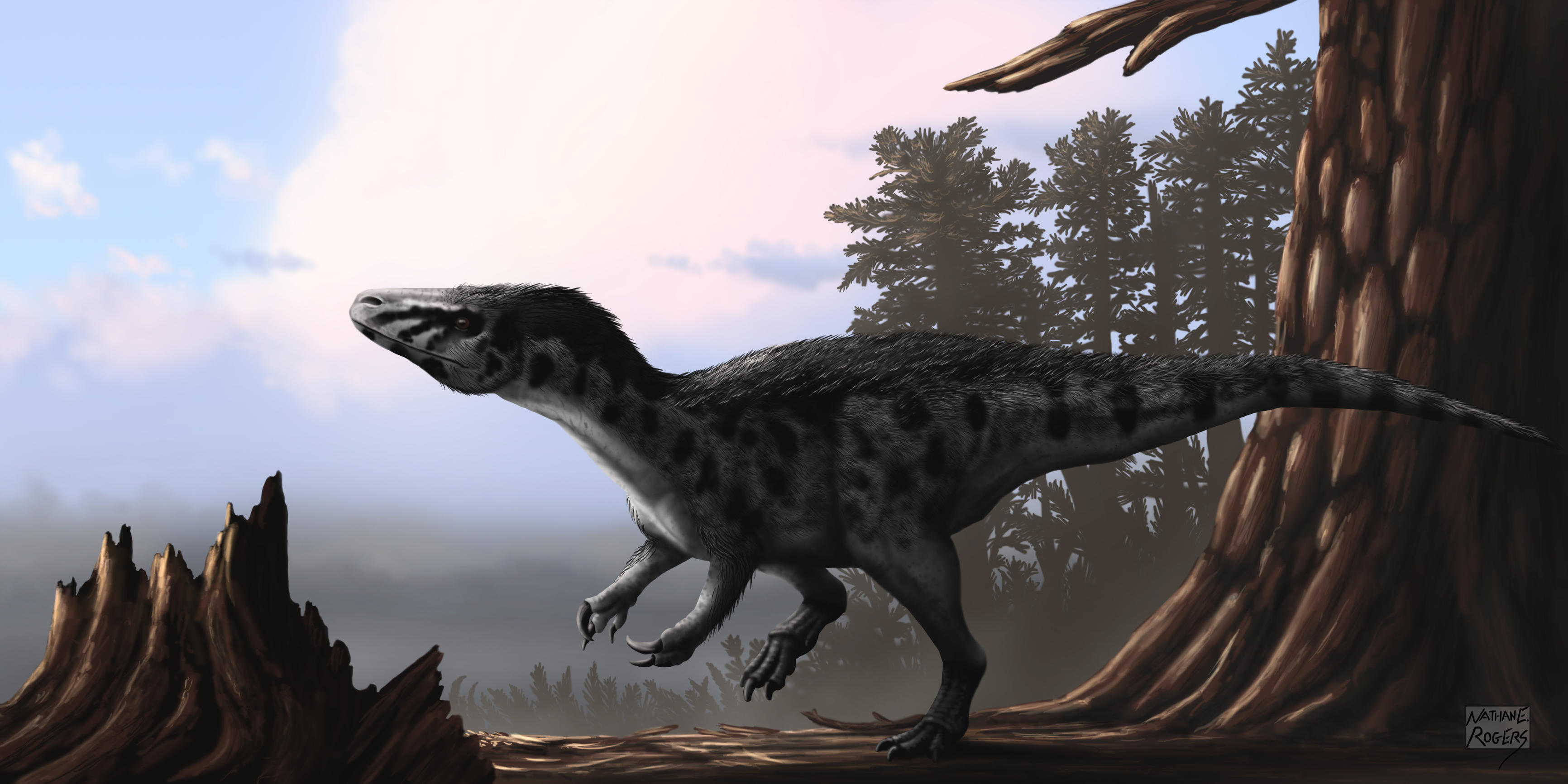 Murusraptor barrosaensis by MicrocosmicEcology on DeviantArt