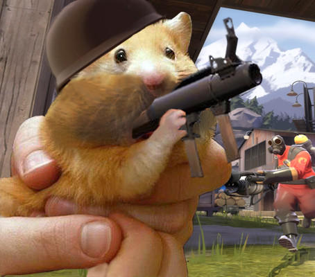 TF2 Soldier Hamster by MadTopHat on DeviantArt