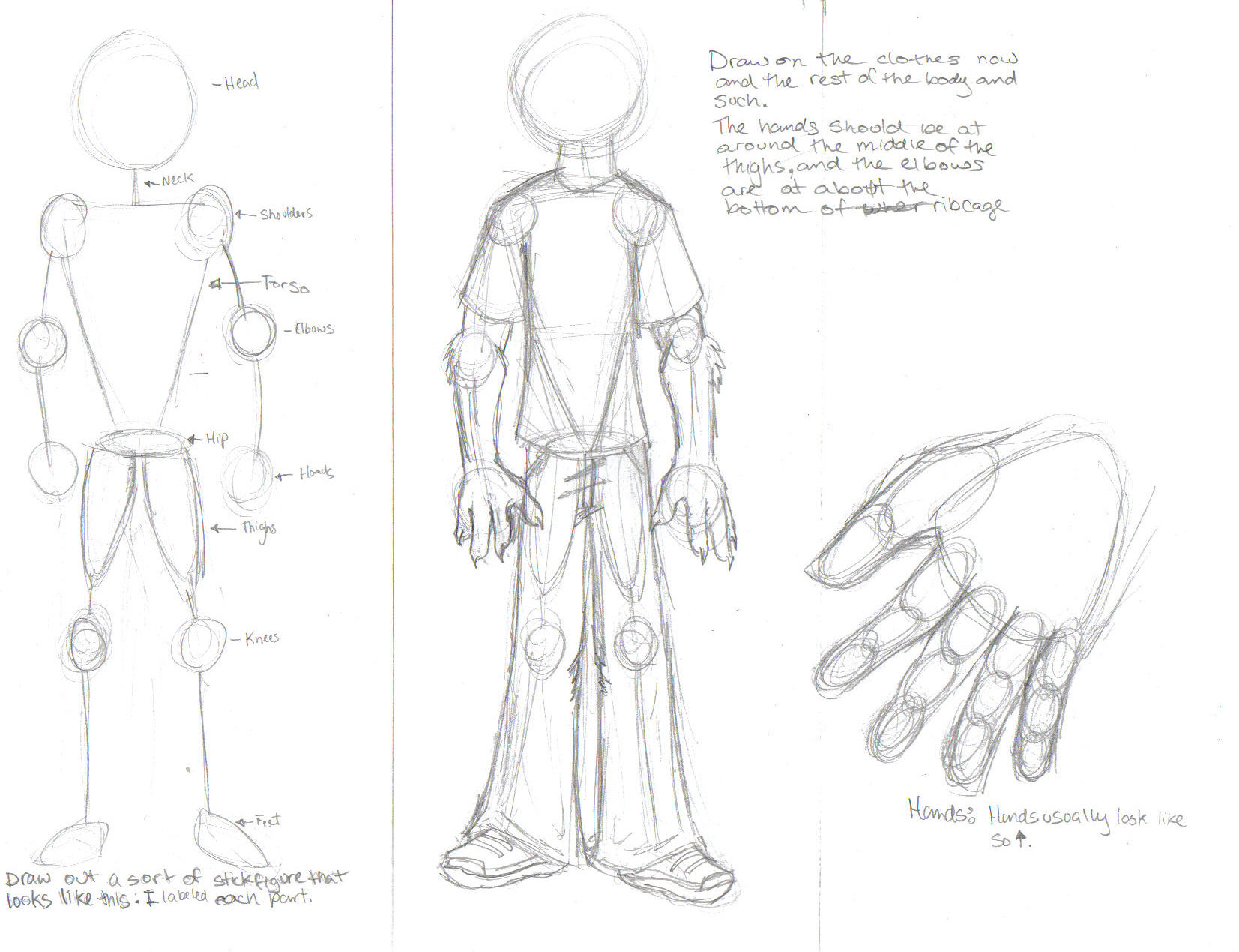 Anthro tutorial part 2 by Tiggstar on DeviantArt