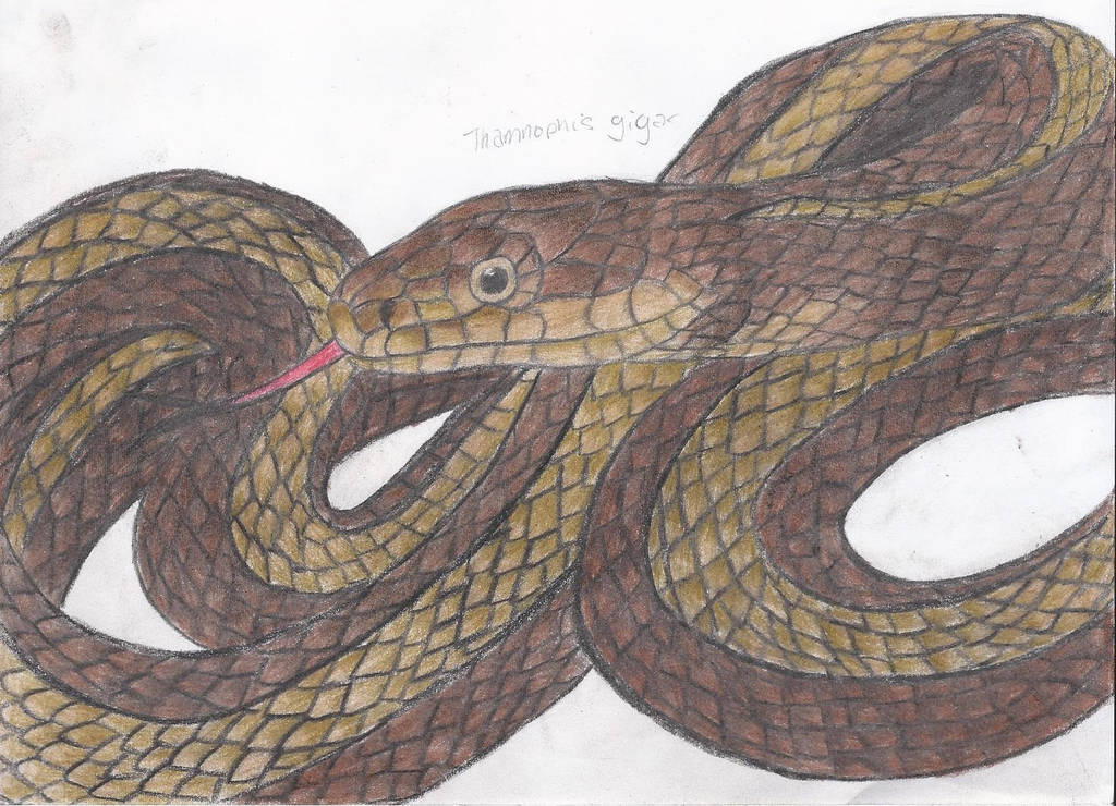 eilujenna | DeviantArt