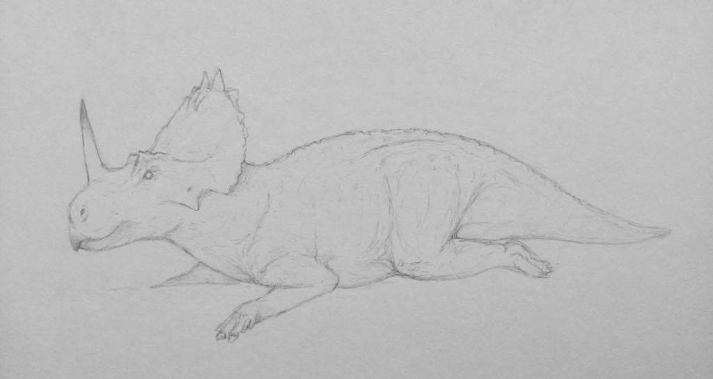 Centrosaurus apertus by OkeanosSaviour on DeviantArt