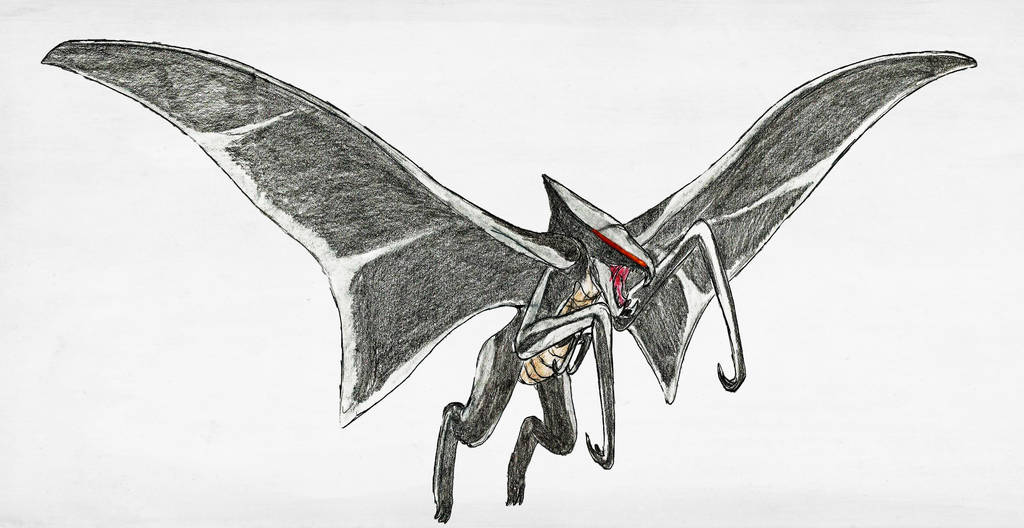 WoodZilla200 | DeviantArt