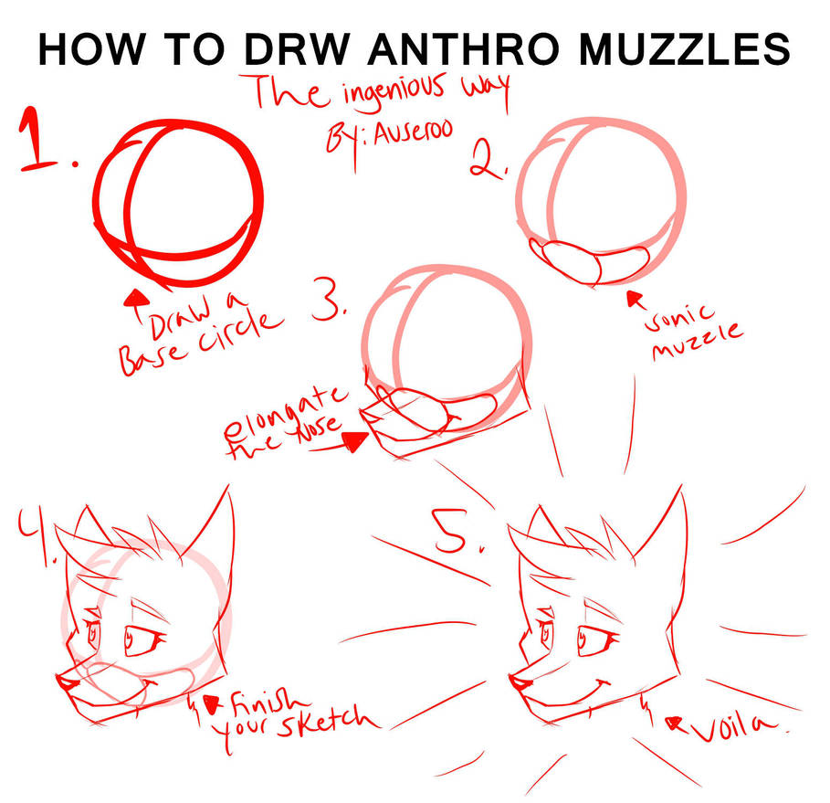 How To Draw Anthro Muzzles For Sonic Artists by Zavlekat on DeviantArt