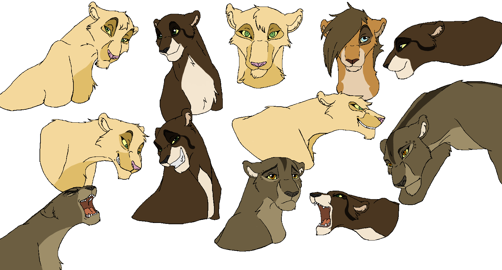 Lion King OC Sheet2 by Kisshus-Koneko-Chan on DeviantArt