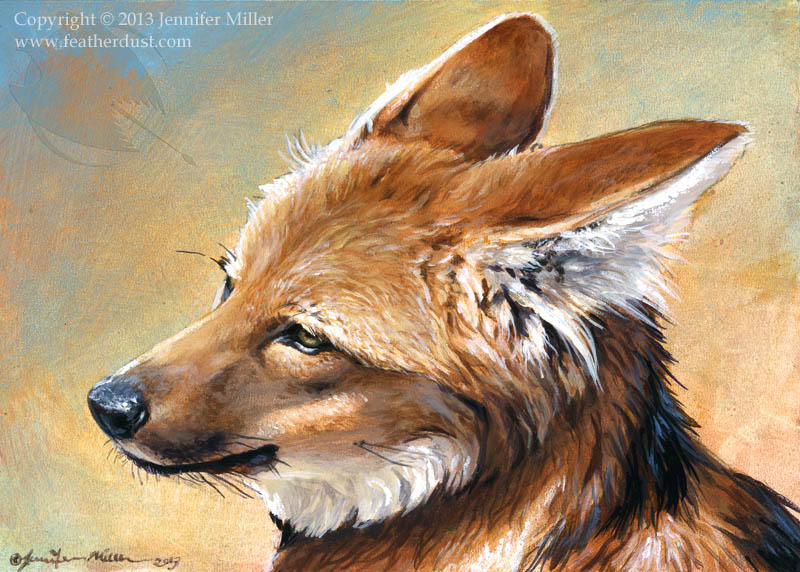 Maned Wolf Portrait by Nambroth on DeviantArt
