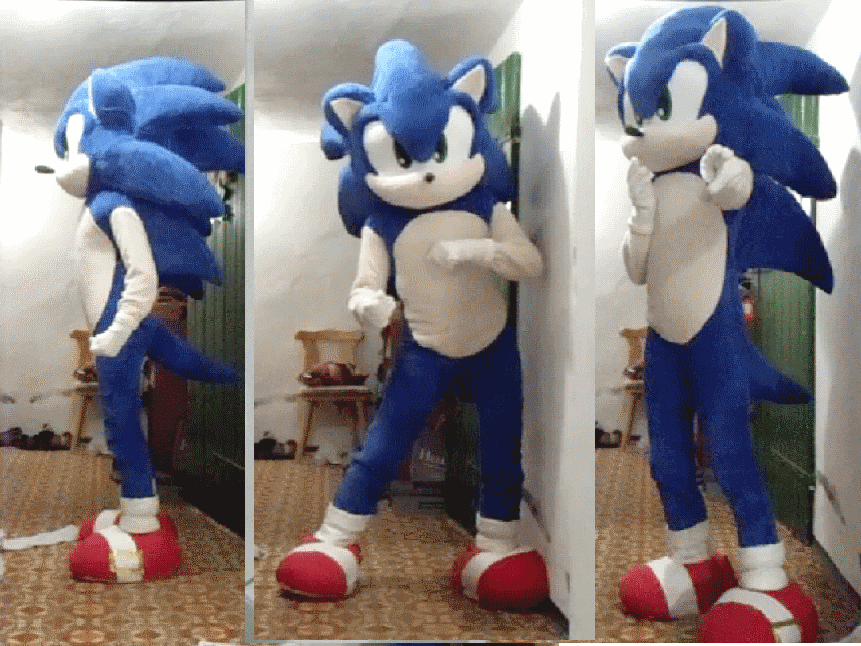 Sonic on Fursuit-cosplay - DeviantArt