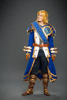 Anduin Wrynn, Prince of Stormwind by Daerone on DeviantArt