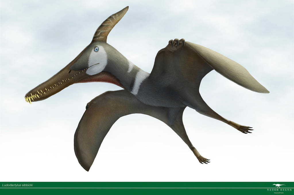 Ludodactylus by Vitor-Silva on DeviantArt