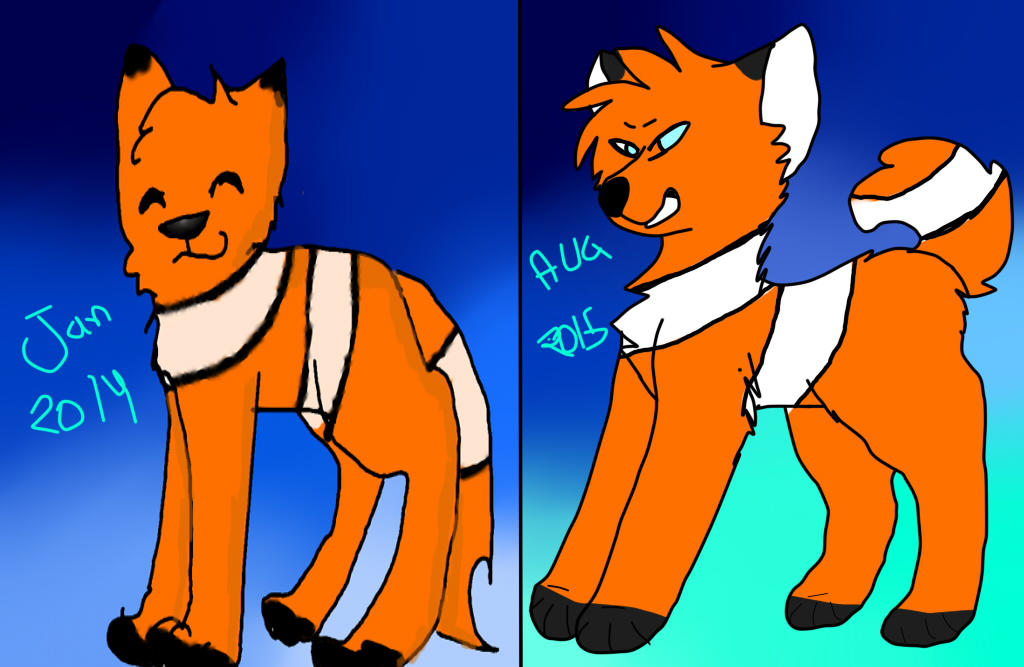 Nemo Dog Re Do by kkiruh on DeviantArt