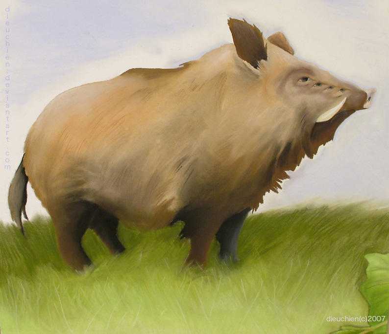 Kamapua'a by DieuChien on DeviantArt