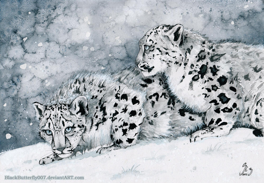 Snow Leopards favourites by Mist-san on DeviantArt