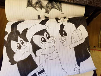 Animaniacs-Fans | DeviantArt