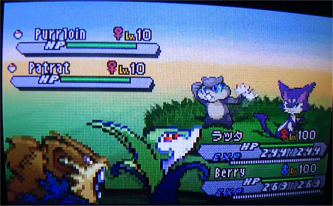 Epic shiny patrat reclaim by JanusMouse on DeviantArt