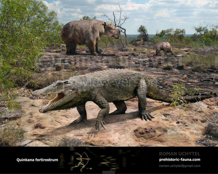 Misc. Organisms favourites by iherduleikdragonites on DeviantArt