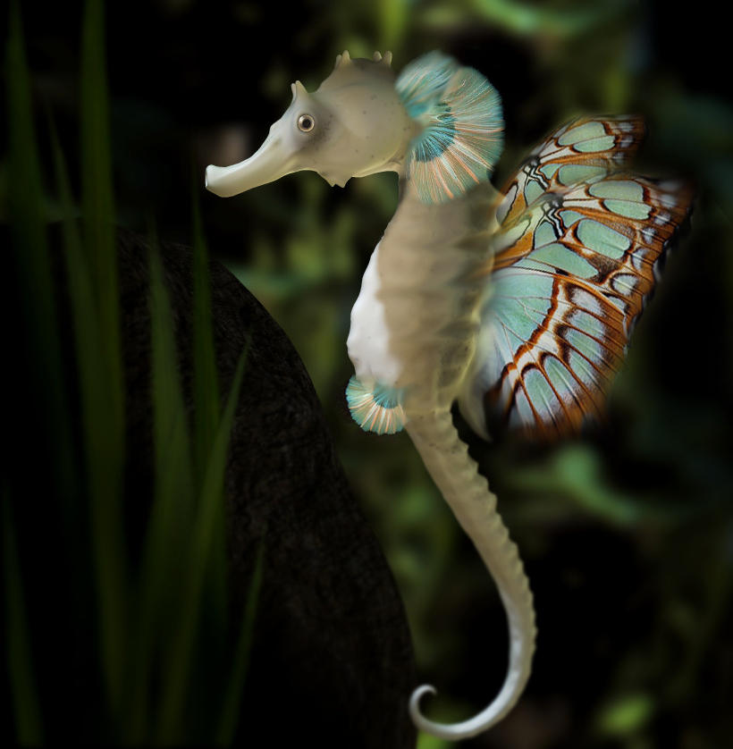 Morphed Animal by Inuxome on DeviantArt