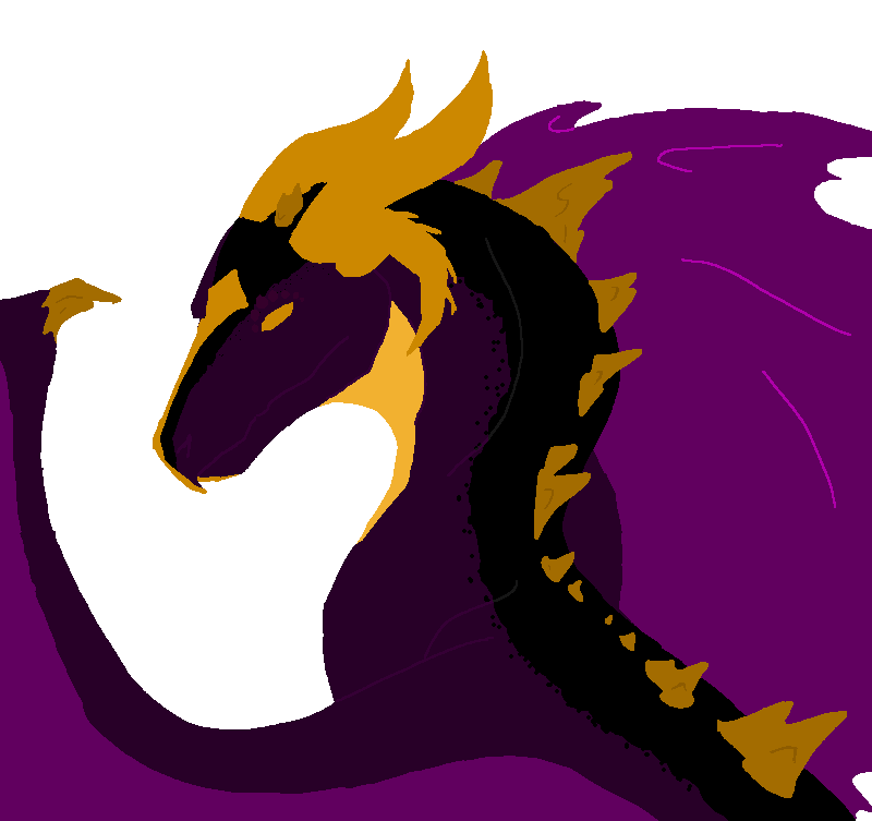 Dragon lines PNG by Horsehuggingdragon on DeviantArt