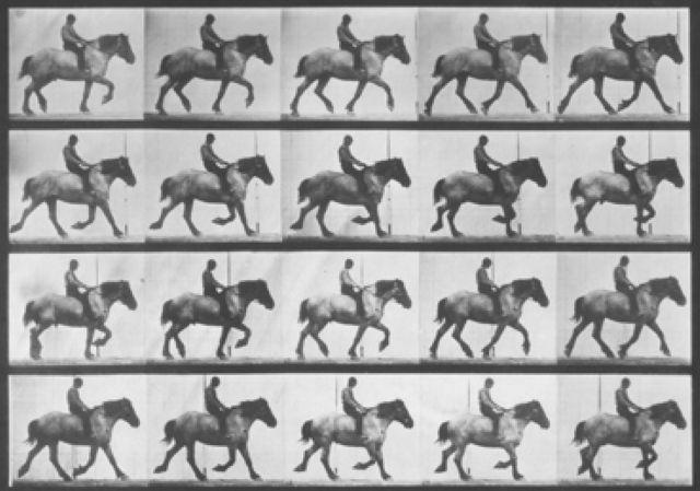 Horse and rider trot cycle by animation-stock on DeviantArt Horse and rider trot cycle by animation-stock on DeviantArt