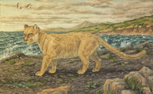 Tiger raptor cat by Amplion on DeviantArt