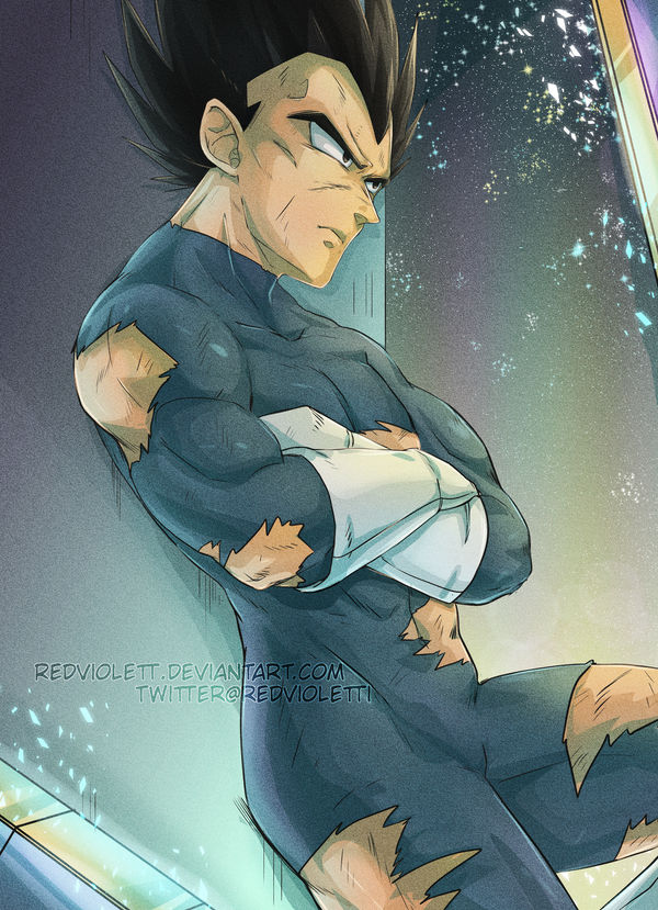 DBZ / DBS - Ripped Clothes - Vegeta by RedViolett on DeviantArt
