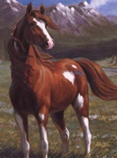 Wind - Spirit Stallion of the Cimarron Oc by Wind-of-West on DeviantArt