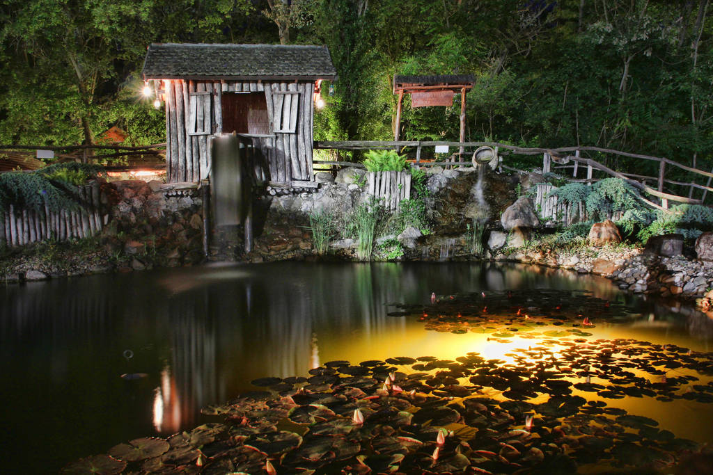 fishpond by stevenfields on DeviantArt