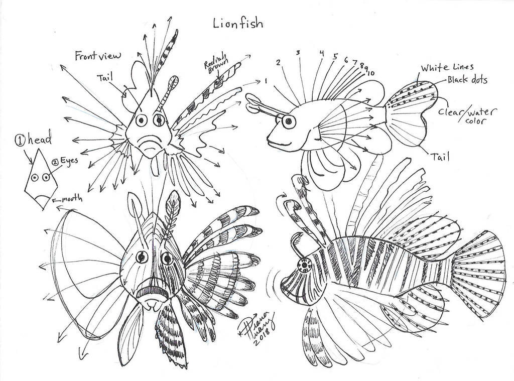 Draw Lionfish by Diana-Huang on DeviantArt