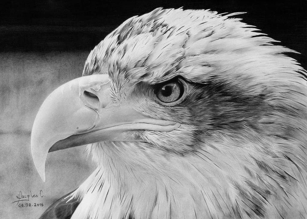 MELHORES DA SEMANA #58 by ArtistasdoBrasil on DeviantArt