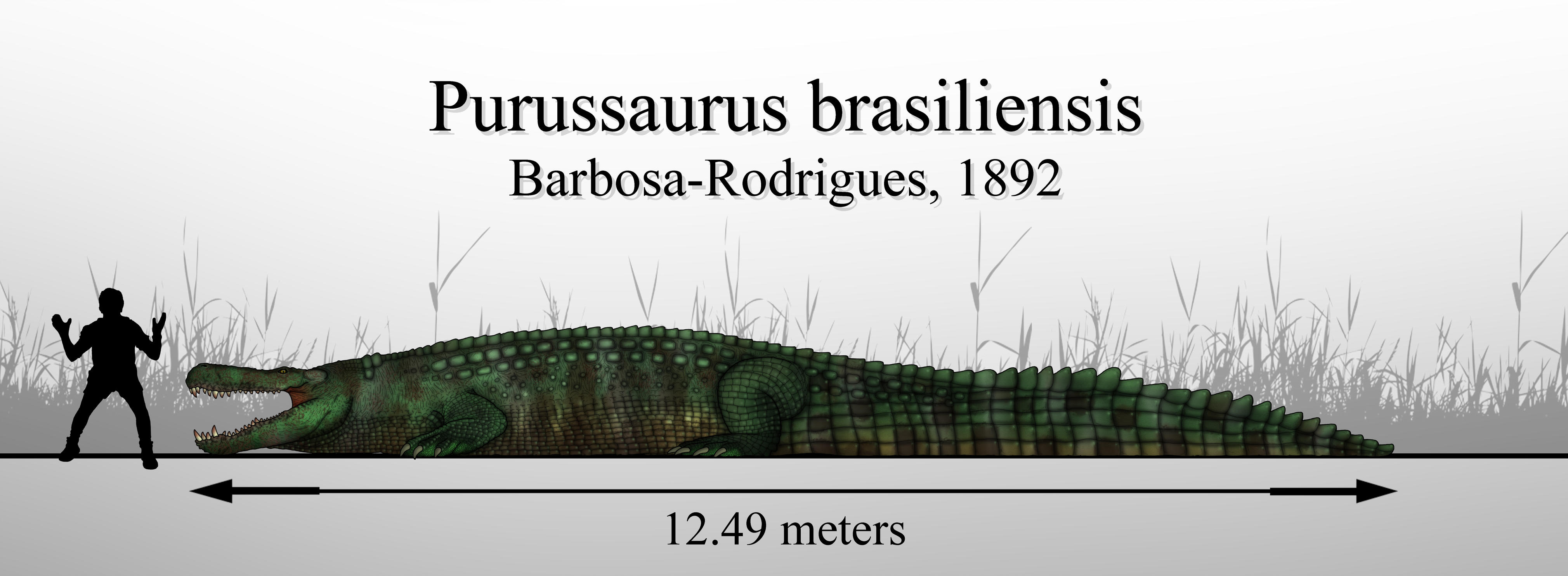 The Giant Caiman: Purussaurus brasiliensis by Paleonerd01 on DeviantArt